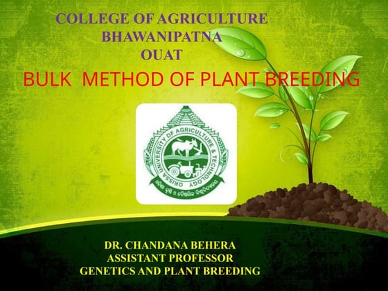 PEDIGREE METHOD OF PLANT BREEDING | PPTX | Gardening | Home & Garden