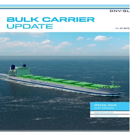 Bulk carrier update | PDF