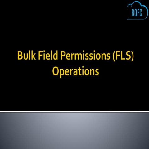 Bulk Field Permissions (FLS) Operations in Salesforce | PPTX