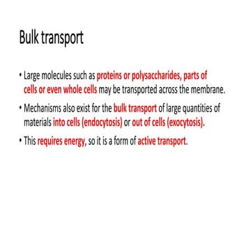 Bulk transport.pptx