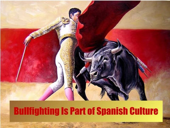 Bullfighting - the facts | PPT