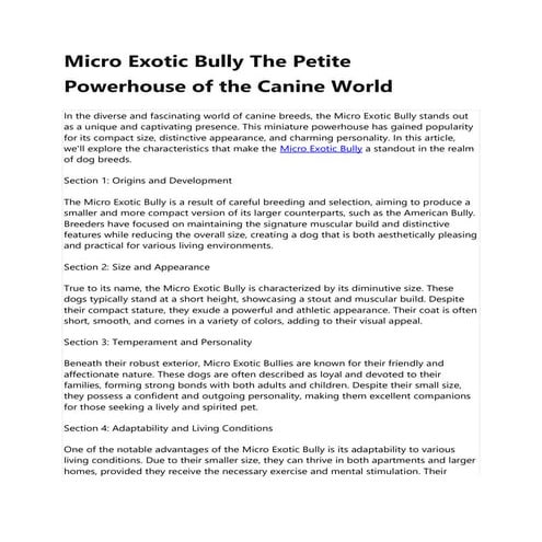 bully.pdf