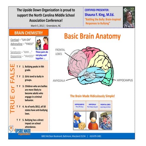 Battling the Bully: Brain-Inspired Responses to Bullying | PDF