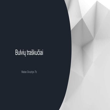 Bulviu_traskuciai | PPTX