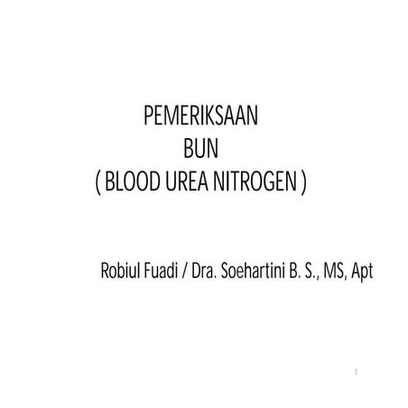 Bun | PDF