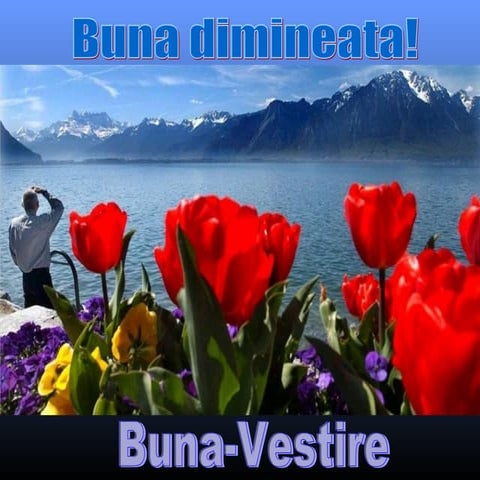 Buna | PPT