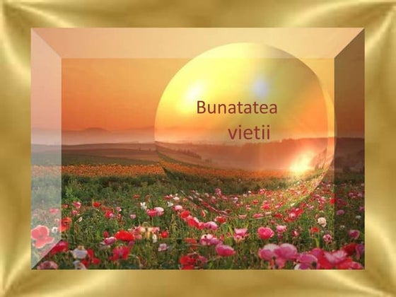 Imagini din jurul lacului ursu din sovata | PPS