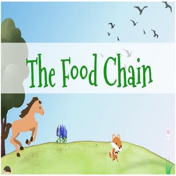 Food chain by Buncee | PPT