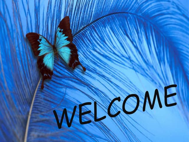 VAP BUNDLE, VENTILATOR ASSOCIATED PNEUMONIA BUNDLE | PPT