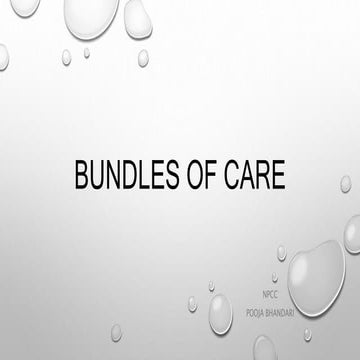 BUNDLE OF CARE.pptx