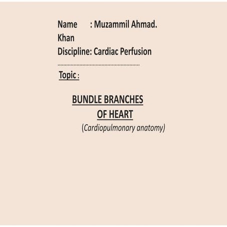 Bundle Of His history,and brief Presentation ( CP).pdf