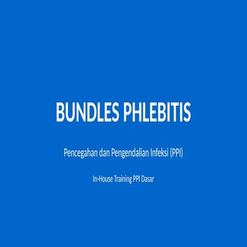 Materi Bundles_Phlebitis_Inhouse Training_PPI.pptx