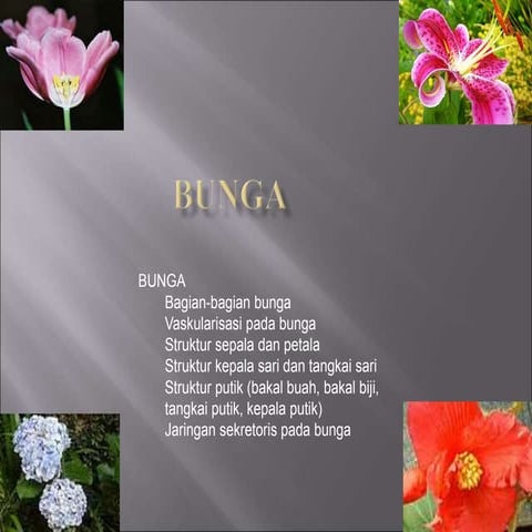 Bunga_bag_fertil.ppt