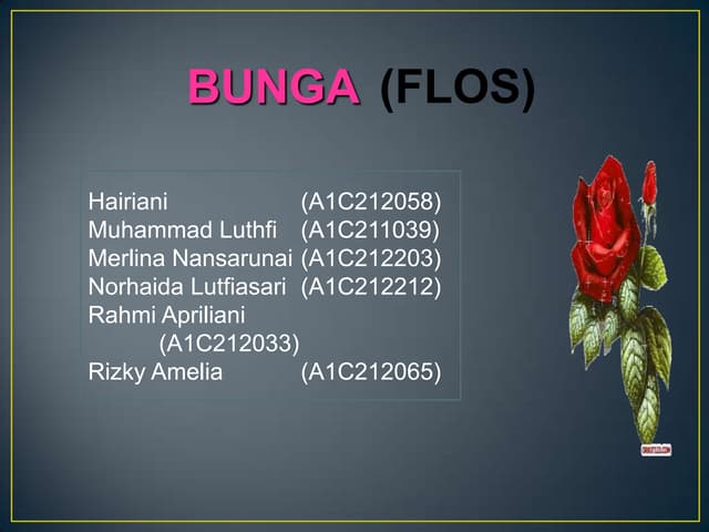 Laporan praktikum 7 rumus bunga dan diagram bunga (morfologi tumbuhan ...