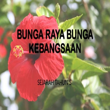 BUNGA KEBANGSAAN NEGARA ASIA TENGGARA.pptx