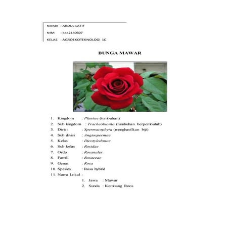 Bunga mawar | DOCX