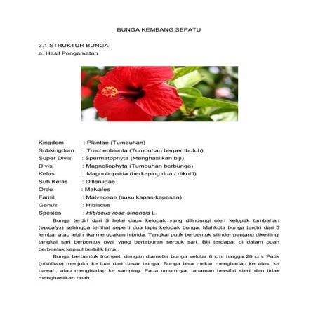 Laporan praktikum 7 rumus bunga dan diagram bunga (morfologi tumbuhan ...