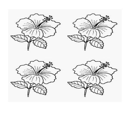 Bunga Raya Black And White