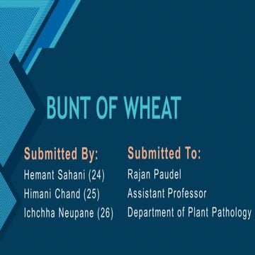 Bunt of wheat | PPTX