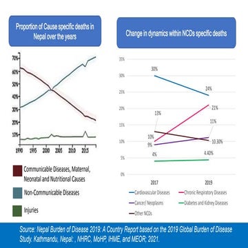Burden of Disease Nepal New Data.pptx