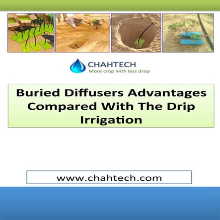 Buried diffusers-advantages-compared-with-the-drip-irrigation | PDF