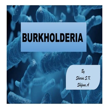 BURKHOLDERIA-1.pptx - Microbiology 2 nd year MBBS | PPTX