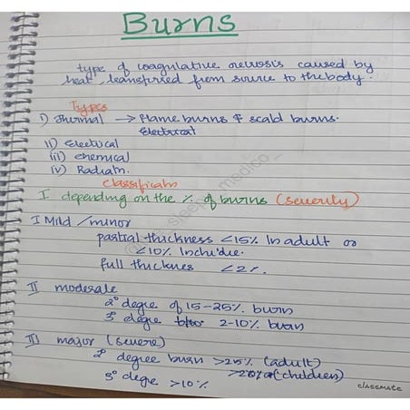BURN TREATMENT | PDF