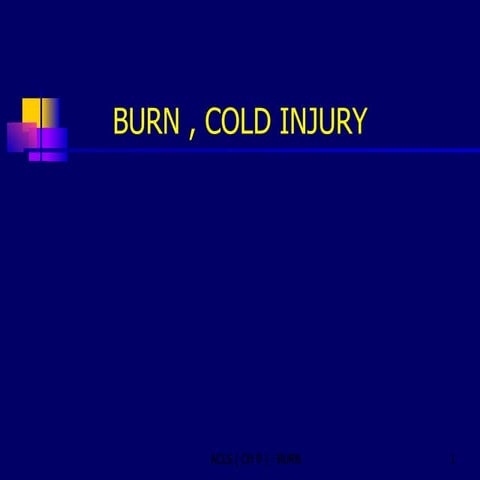 Burn Cold Injury | PPT
