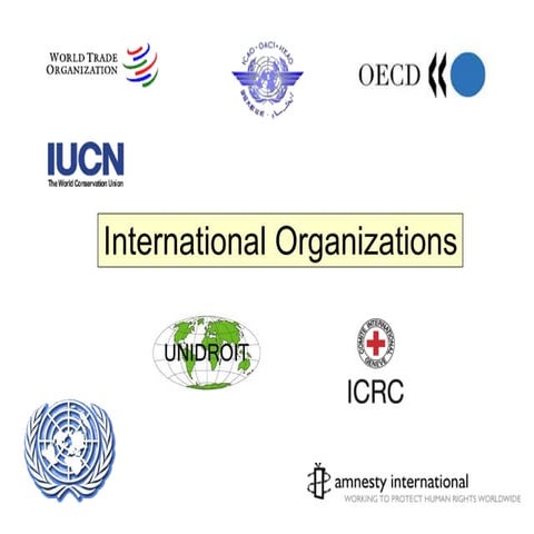 INTERNATIONAL ORGANIZATIONS and the role of Language (1).pdf