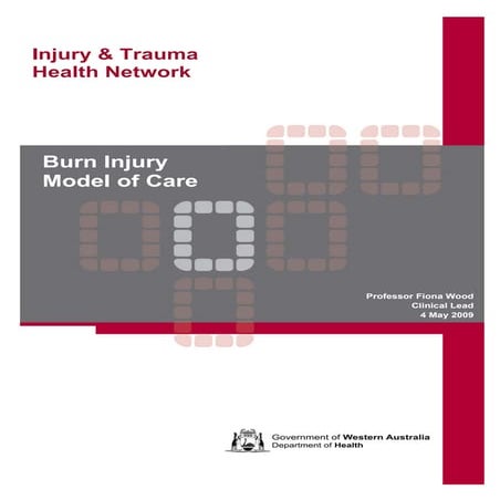 Burn_Injury_Model_of_Care.pdf