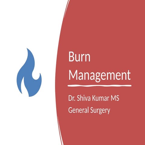 burn management basics concepts and ideas | PPTX