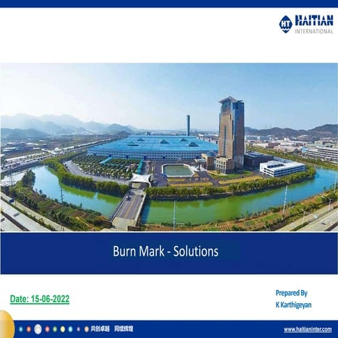 Burnmark - Solutions.pptx