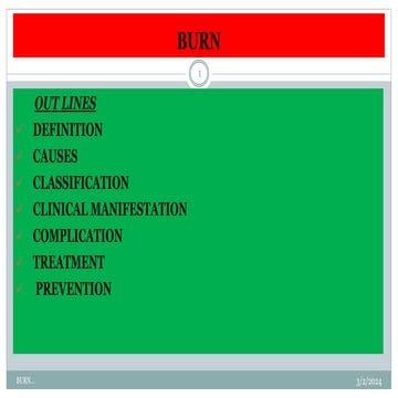 the BURN( new) (1).pptx for nursing student | PPTX