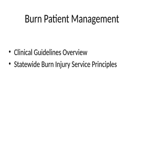 Burn_Patient_Management_Presentation.pptx