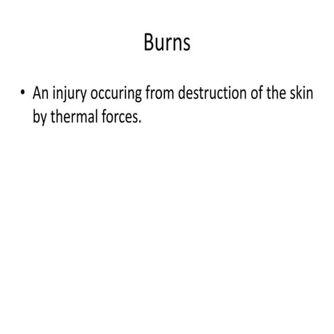 Burns-1.ppt