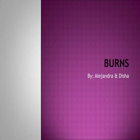 Burns | PPT