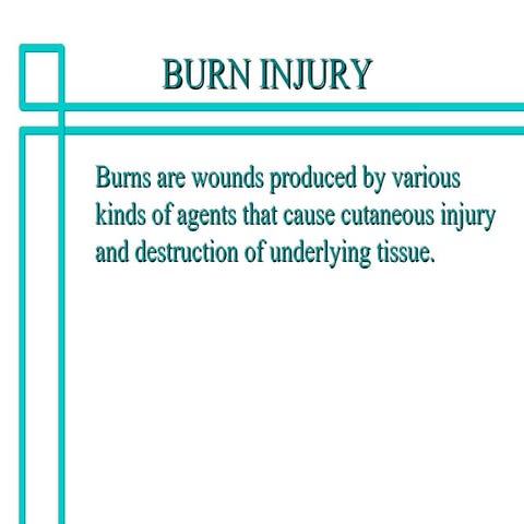 Burns | PPT