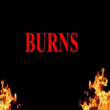 Burns | PPTX