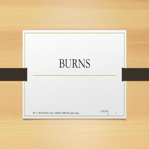 BURNS.pdf