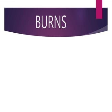 BURNS | PPTX