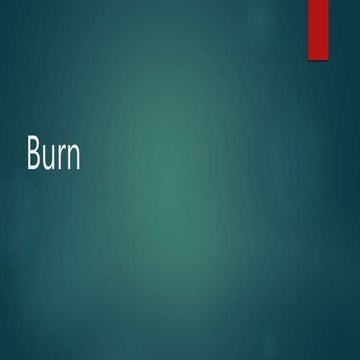 Burns.pptx