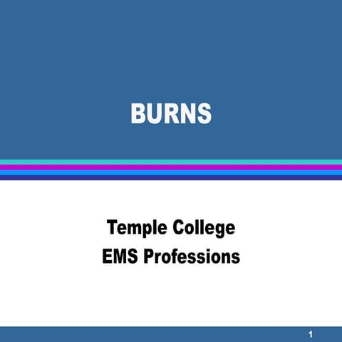 Burns managements a detail study and explanations.ppt