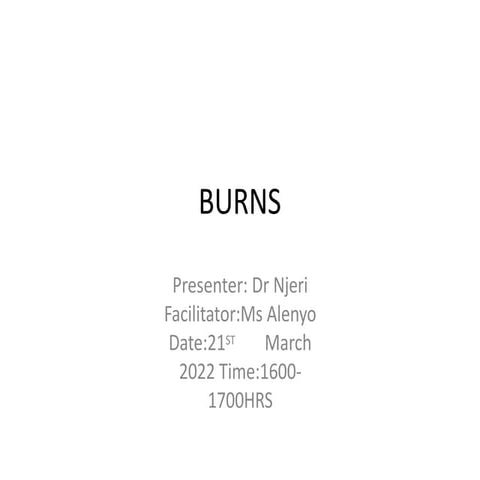 Burns power point presentation slid.pptx
