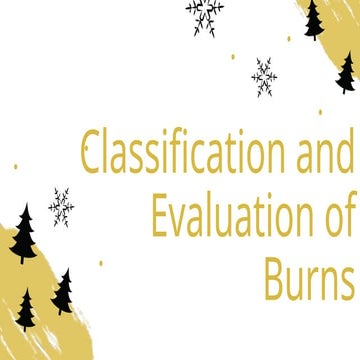 Burns Classification and Evaluation.pptx