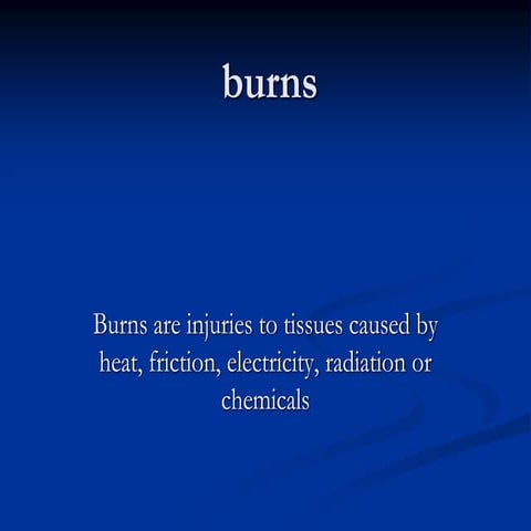 Burns -RBXY1.ppt