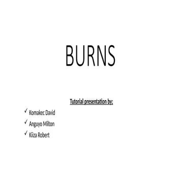 Comprehensive Tutorial on Burns: Causes, Classification, and Management ...