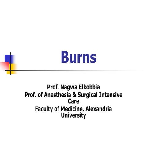 Burns | PPT