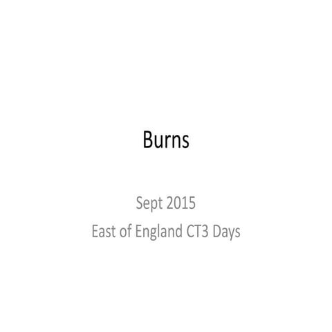 burns_ct.ppt