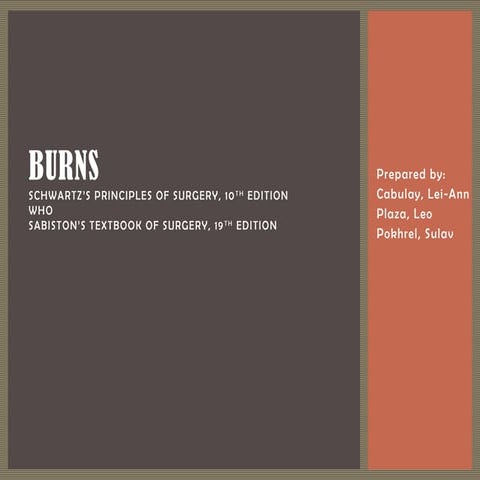 BURNS_initial_evaluation.pptx BURNS SMA XASN A AHLDSBJHEADSBNMX JAnx aAK | PPTX