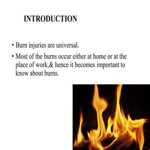 Burns ppt.pptx